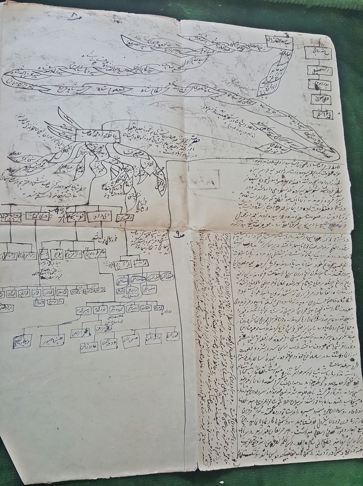 Hafiz Syed Arsalan Gilani: Family Tree of Syed Arsalan Gilani & Syed ...