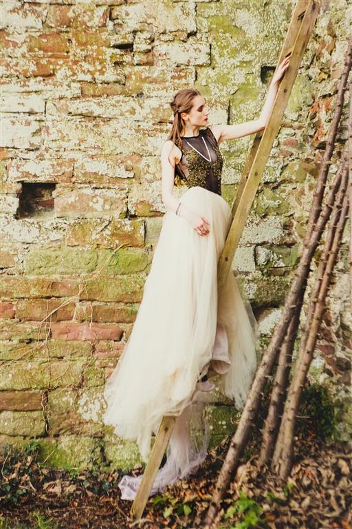 David N Anderson photography