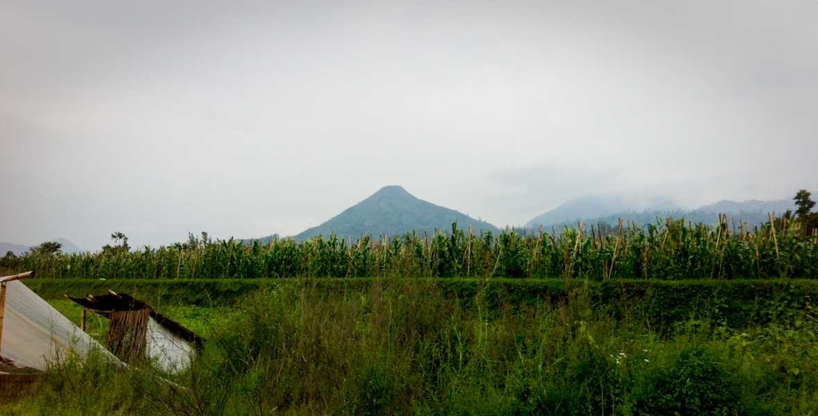 Growing Tree-KIDS & me: Piramida di Gunung Sadahurip Garut?