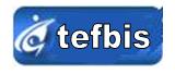 TEFBİS - Hane Halkı Eğitim Harcamaları Anketi 2011 - dersteknik.com