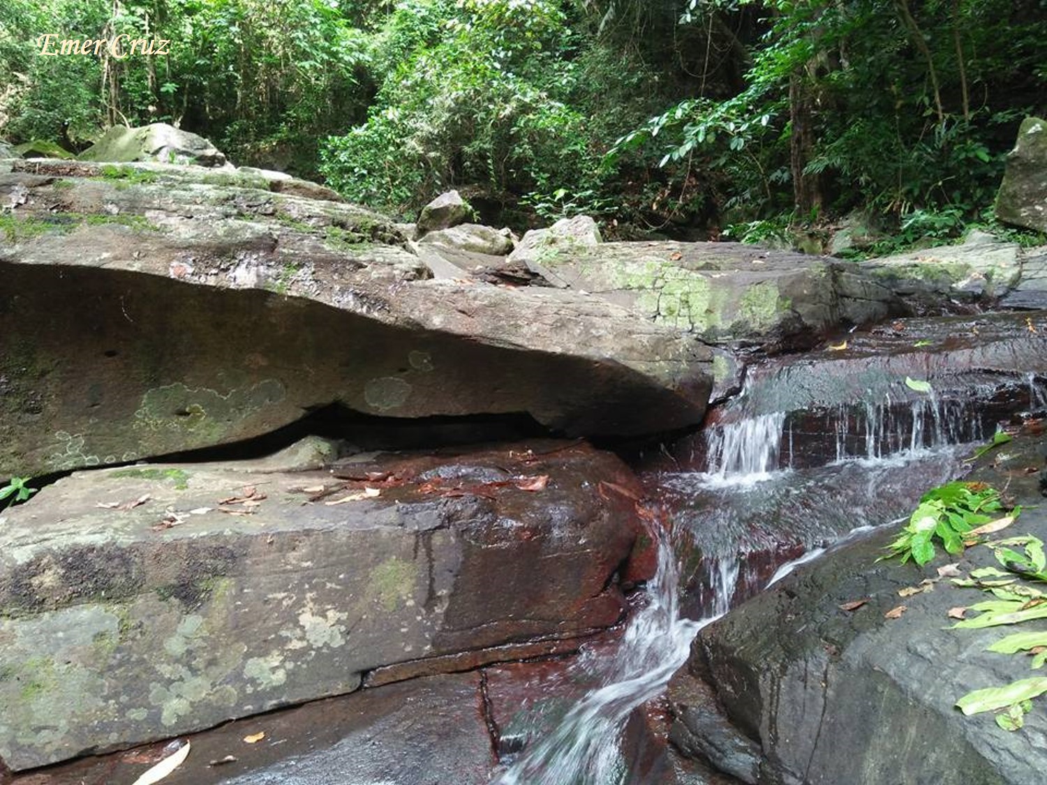Flat Rocks (Mt. Makiling)