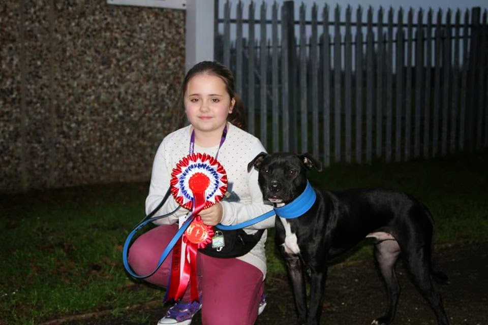 Confessions of a Loquacious Lady