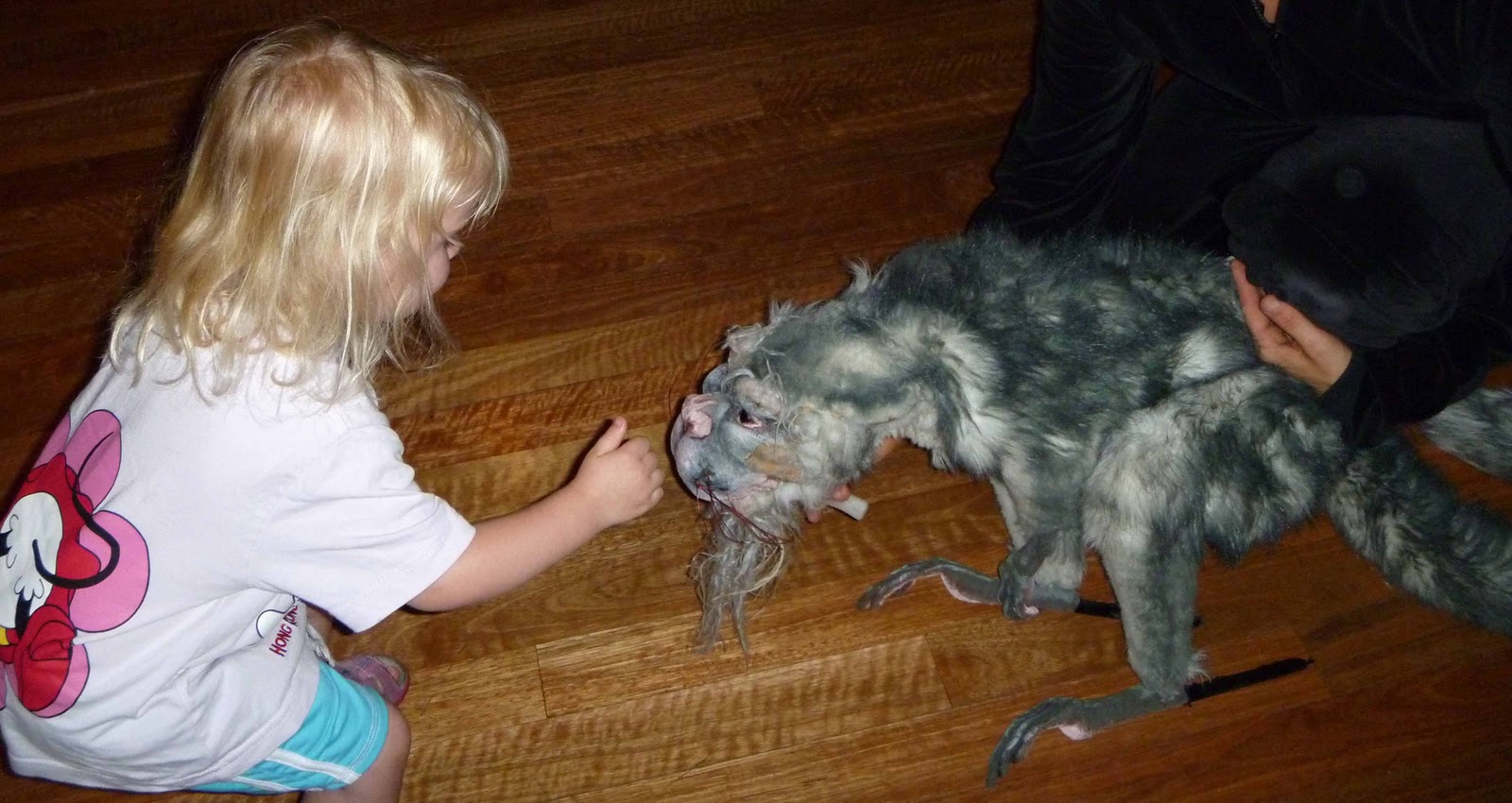 Creating and Educating: I, Bunyip