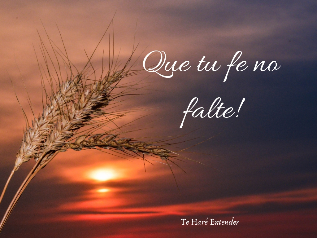 Te Haré Entender...: 11/26/18