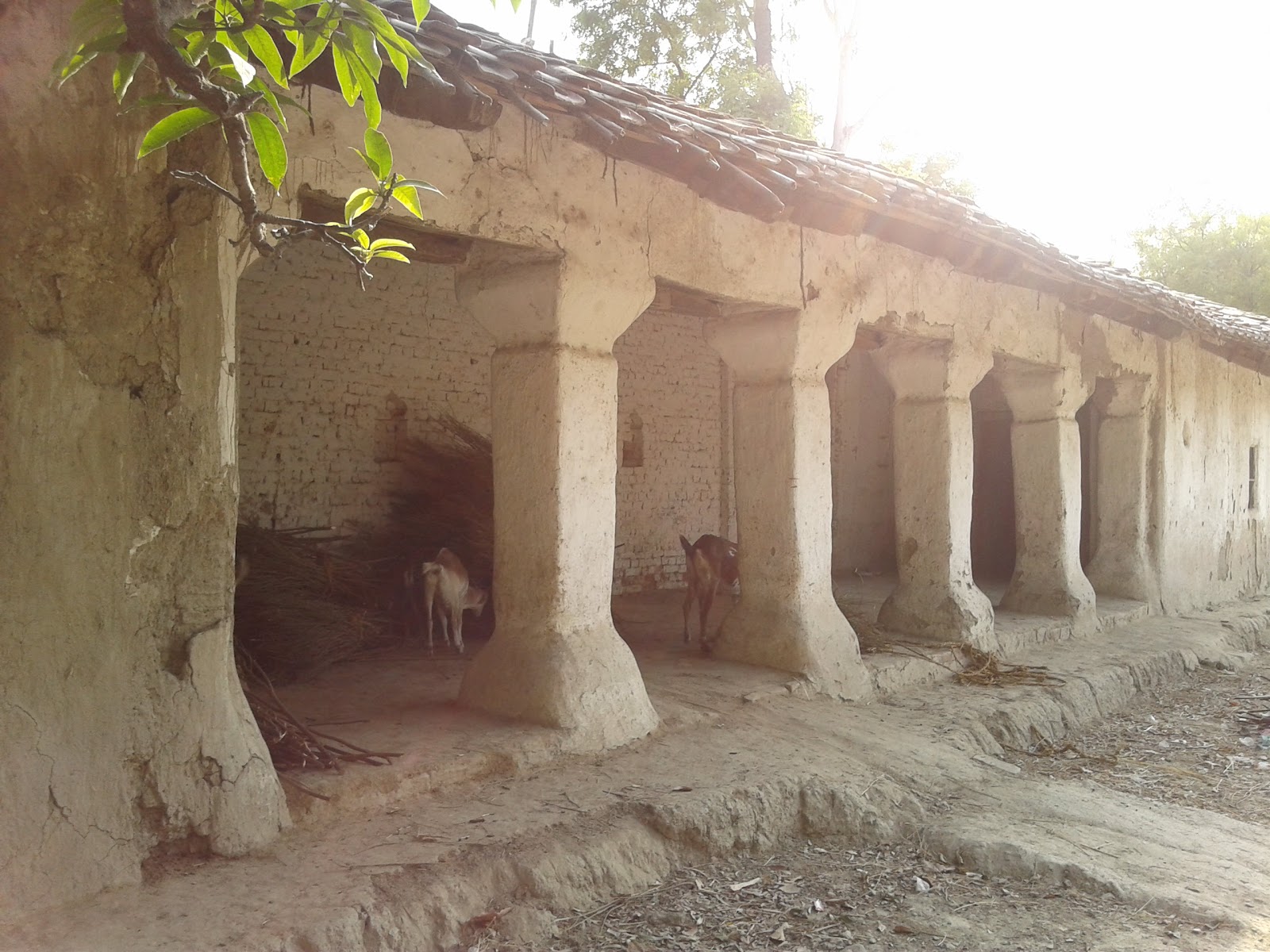 Wirasat - Pargana Chail- Allahabad: BadaGaon - Pargana Chail ( Baragaon)