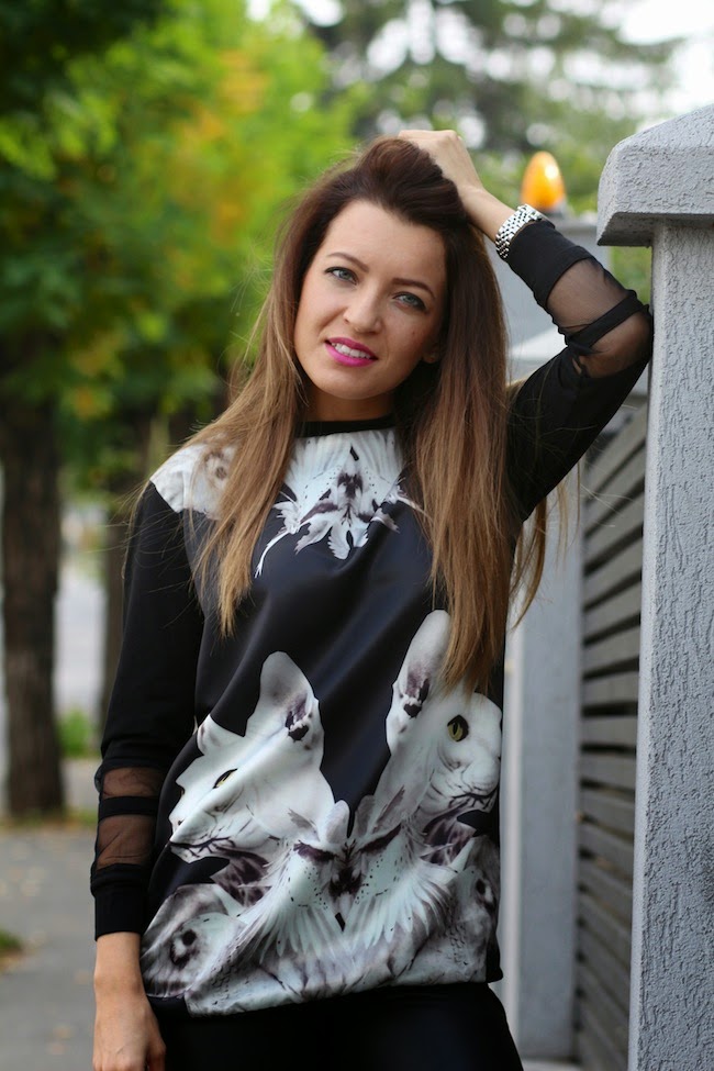 Hey Kitty Kat | Sandra Bendre