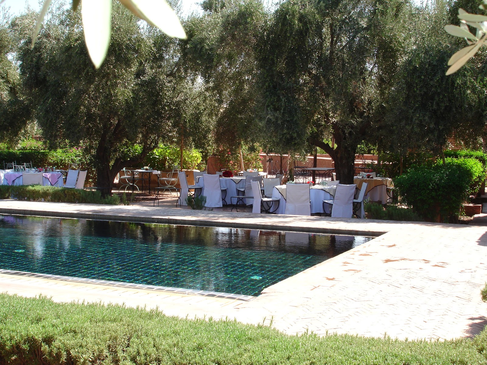 Hotel et Riad Marrakech: Hôtel Beldi Country Club