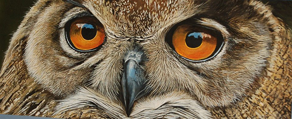 VL Studio Visits: UK Wildlife Artist Robbie Graham Featured Studio Visit.