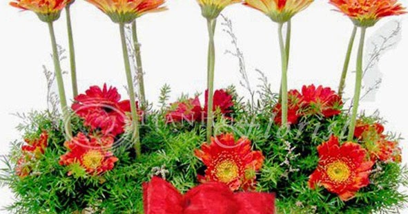 Toko Bunga Jakarta | Florist Online Flowers Shop Indonesia