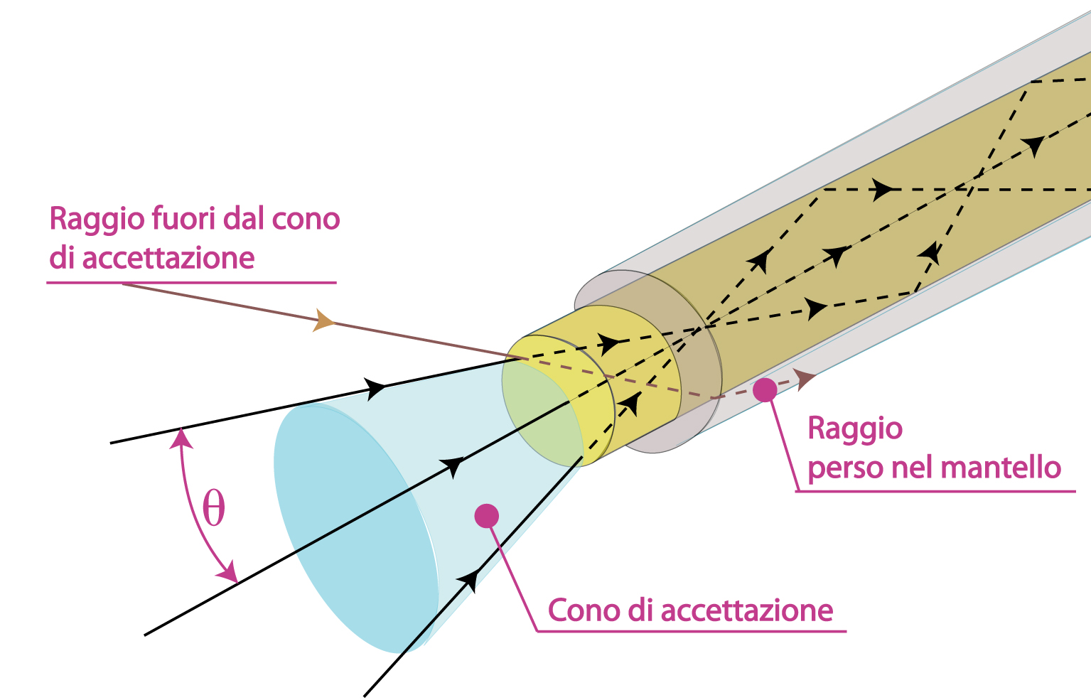 BOSCO OTTICA S.R.L.: La fibra ottica
