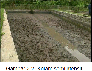 Jenis Kolam Ikan Budidaya – Jati.id