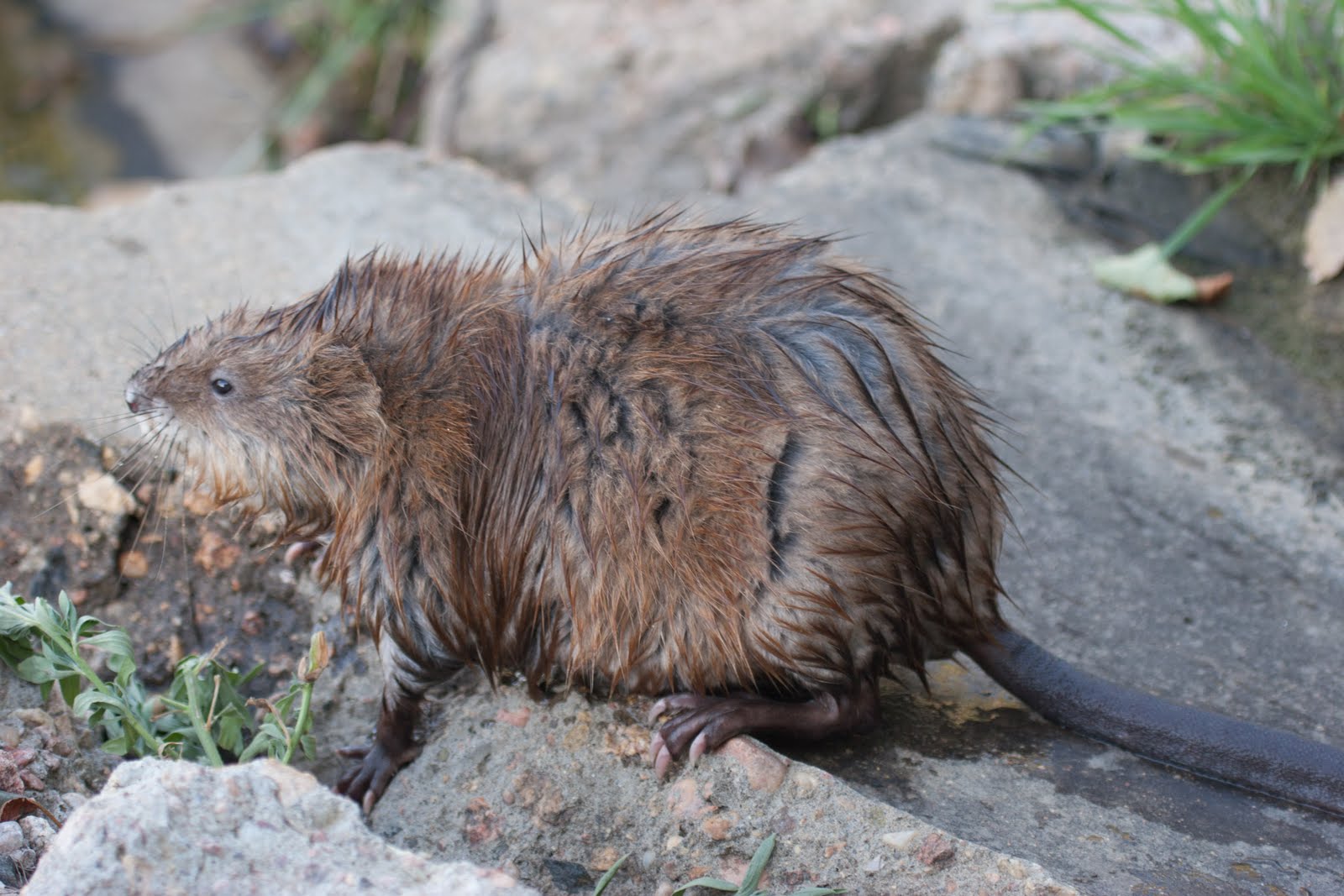 Daily(ish) Photo: Colorado