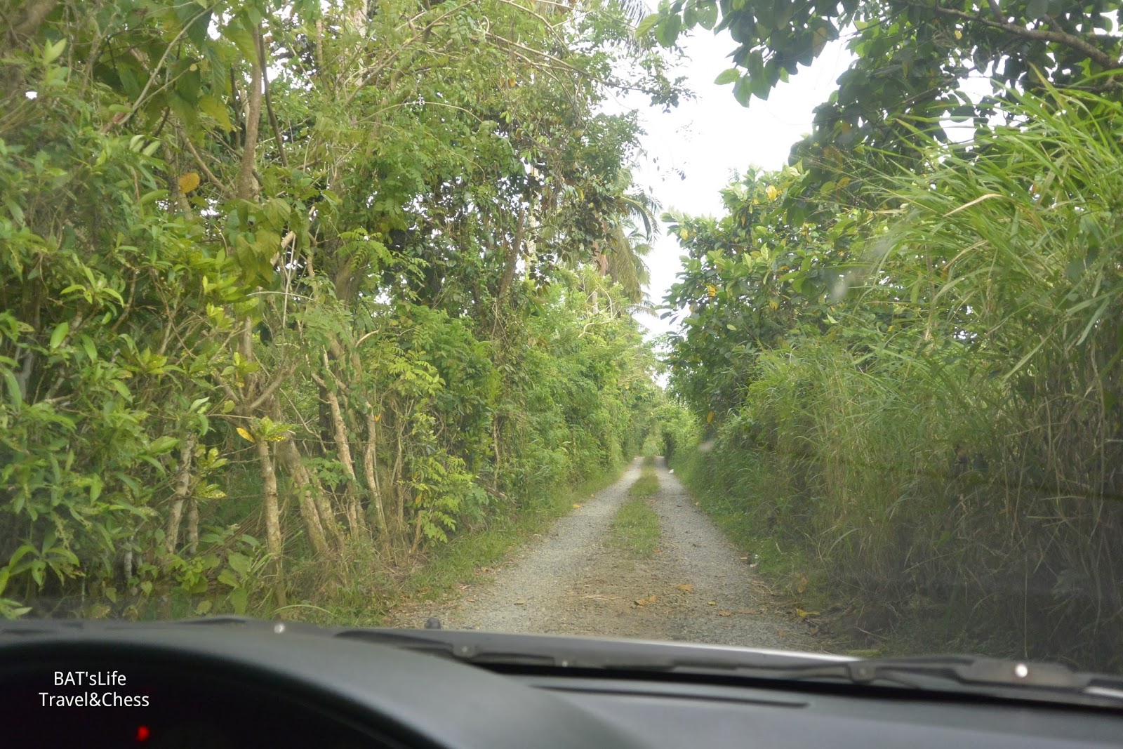 Ilog Maria Honeybee Farm (Silang, Cavite)