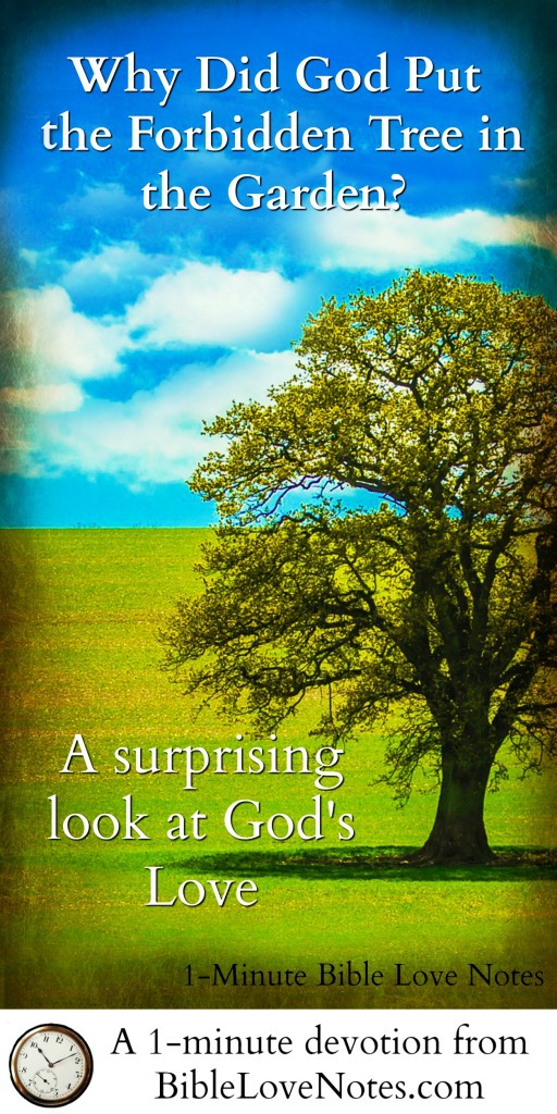 1-Minute Bible Love Notes: Just One