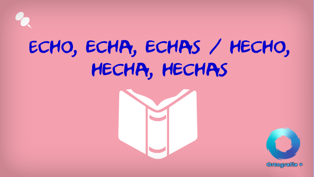 Echo, echa, echas / hecho, hecha, hechas ~ Ortografía