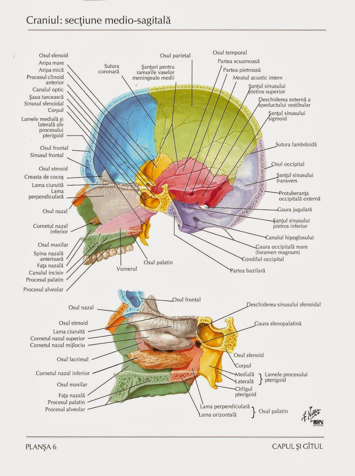 Stud-dent la Facultatea de Medicina Victor Papilian: mai 2014