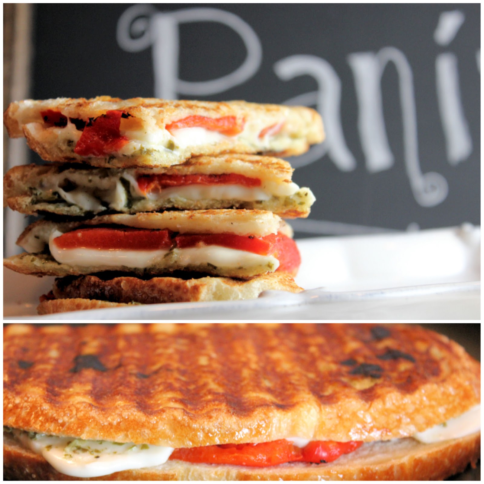 laughingspatula.com: Panini 101 - Make the perfect Panini! No Special ...