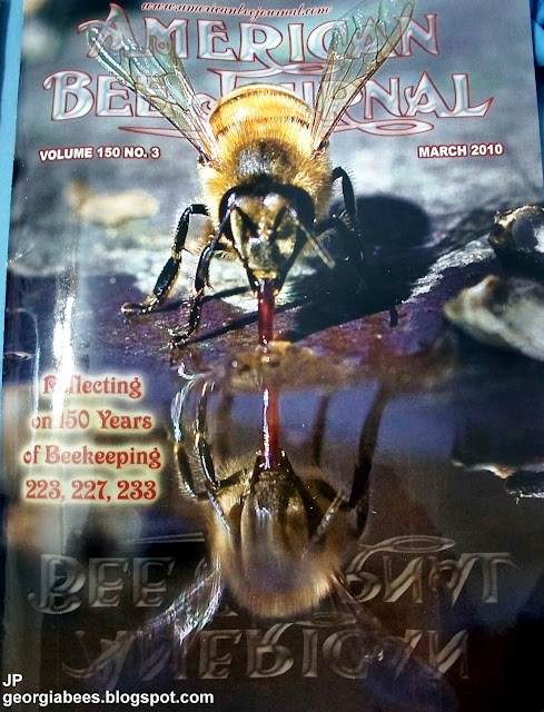 BEEKEEPING Beekeeper Honey Bees Pollen Wax Candle Propolis Queen Nuc ...