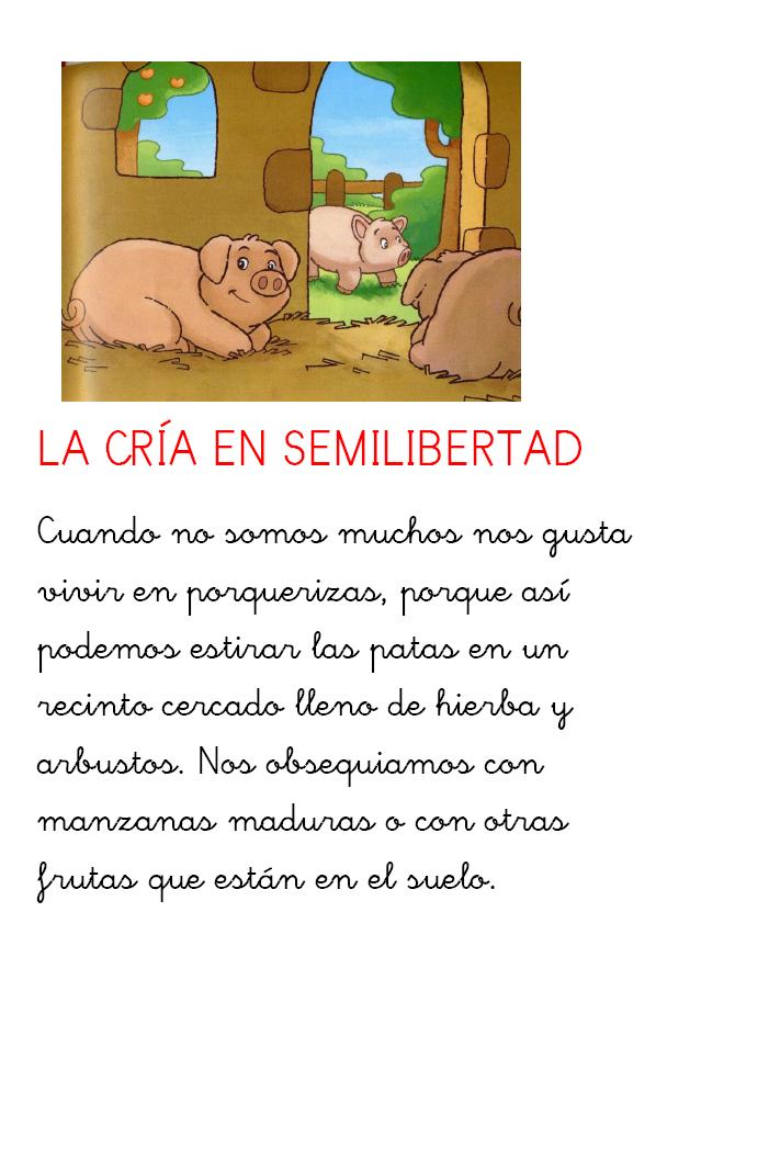 RECURSOS y ACTIVIDADES para Educación Infantil: Libro del CERDO