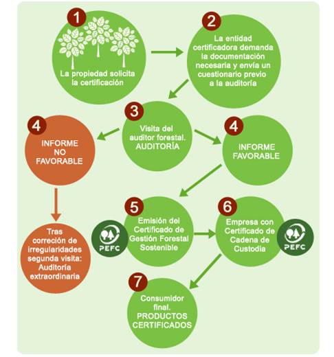 Las Certificaciones Forestales Fsc Y Pefc En Las Certificaciones De