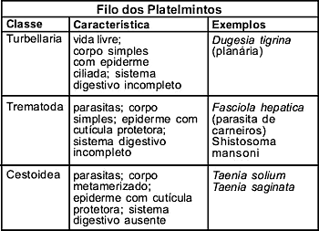 Trabalho De Biologia: Platelmintos