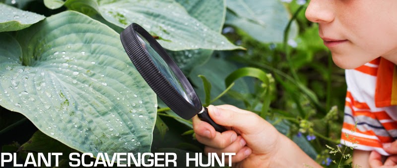 E is for Explore!: Plant Scavenger Hunt