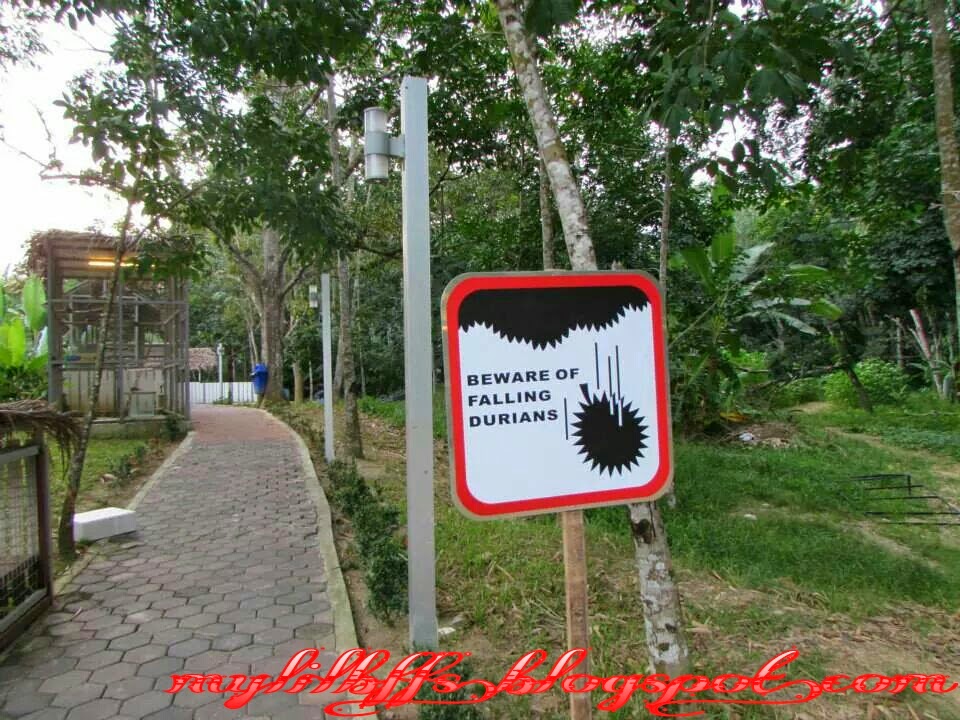 Beauty.Food.Fun.my: Laman Persona @ Cheroh, Raub