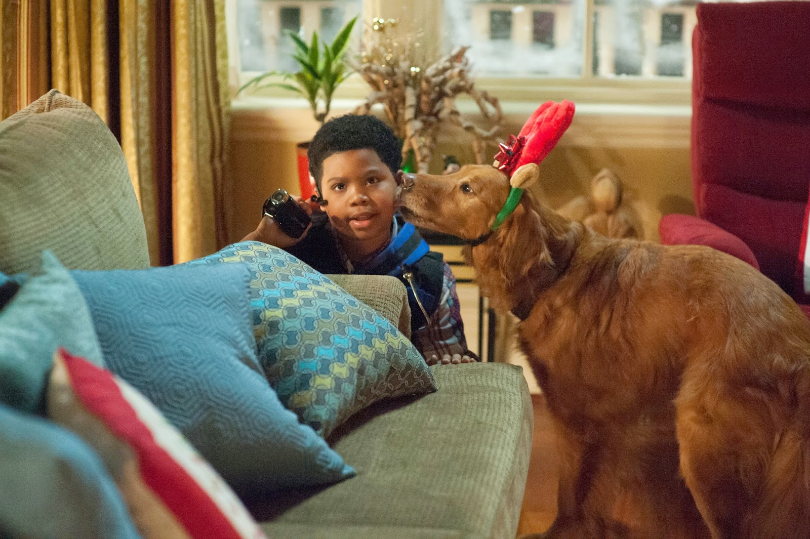 NickALive!: 11/10/14