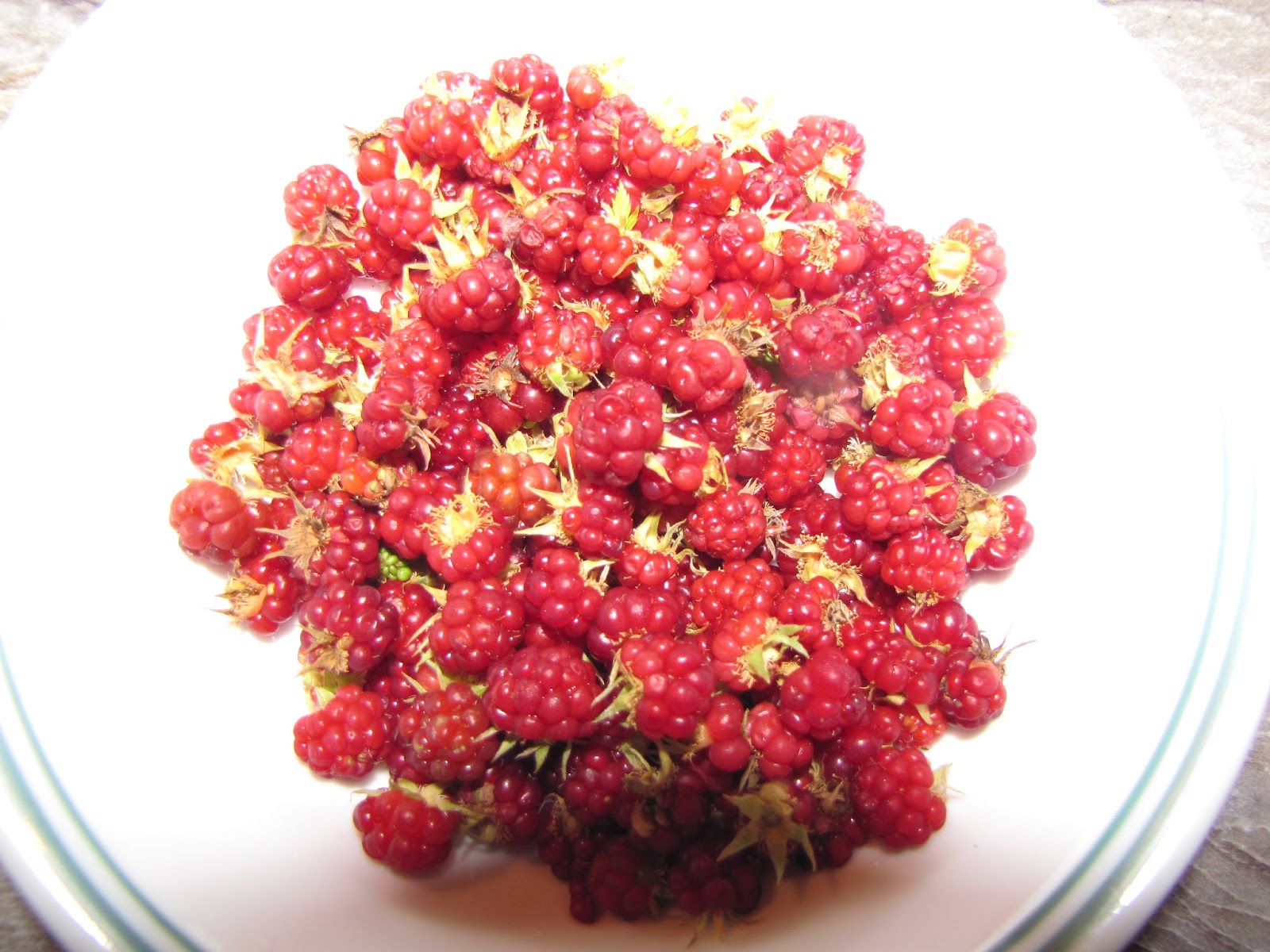 Le Blogue à Zonzon : Catherinette, catalinette (catherine)