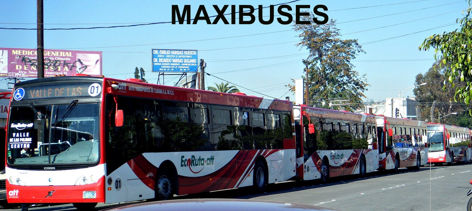 MAXIBUSES: AUTO TRANSPORTES DE TIJUANA