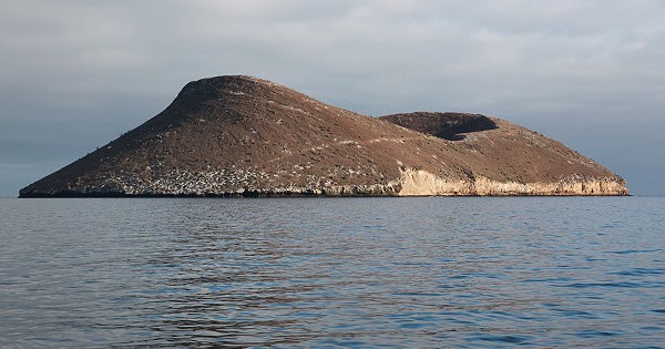 Galápagos: Daphne