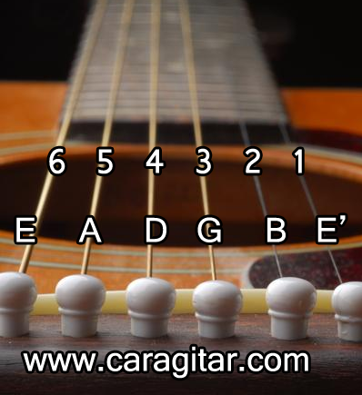 Anatomi Bagian-Bagian Gitar Akustik - Tutor Belajar Gitar