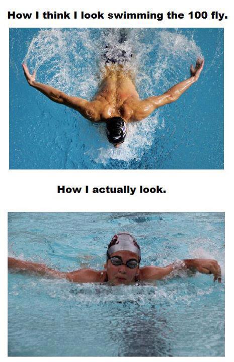 A Teen Reader's Resource: PA #23 Swimming Memes