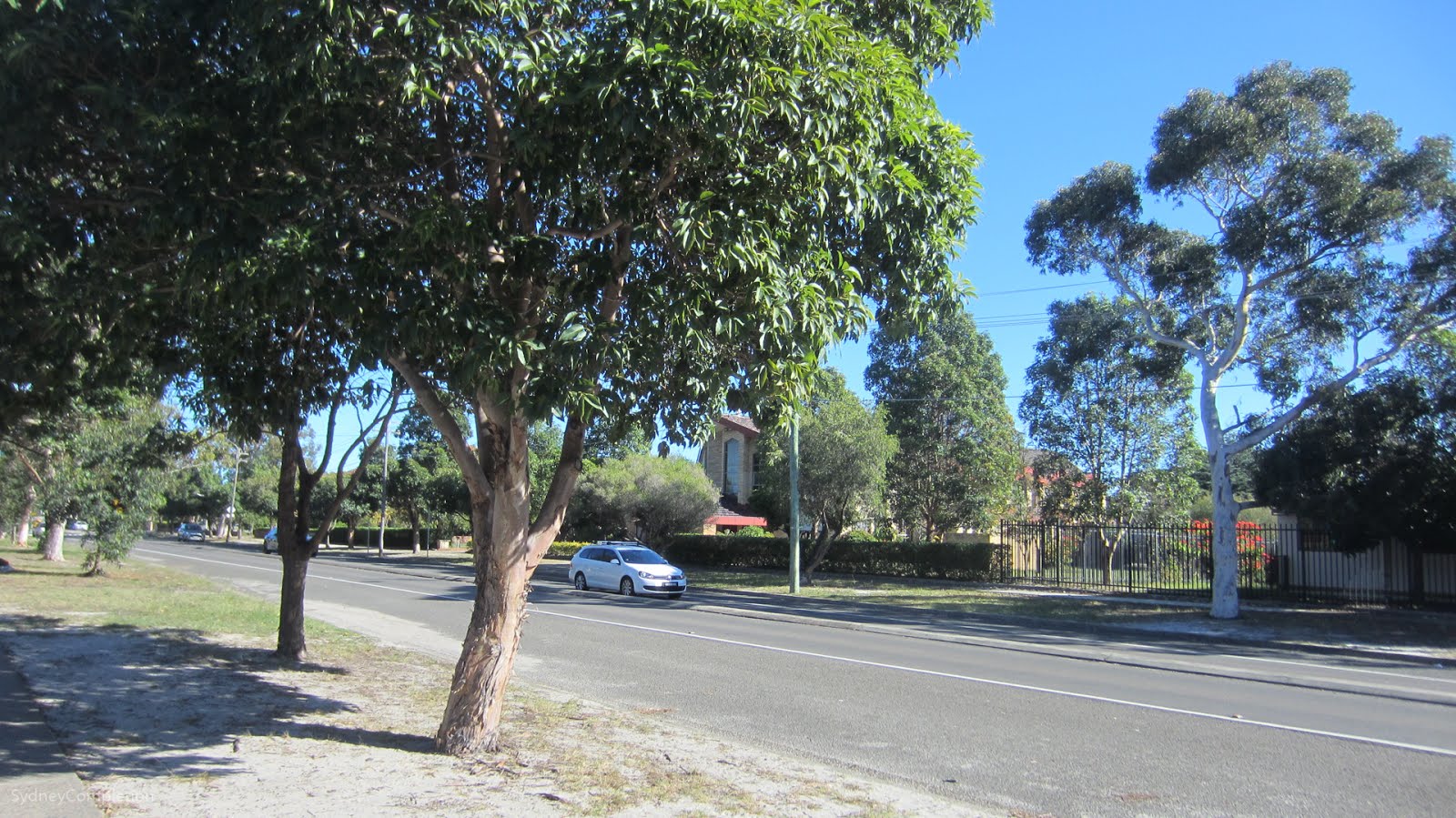 Public Gardens: Daceyville - Completing Sydney