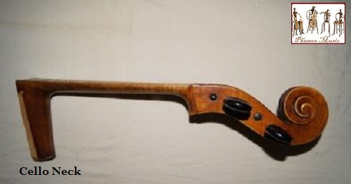 The Cello Anatomy ~ Phamox Musiq