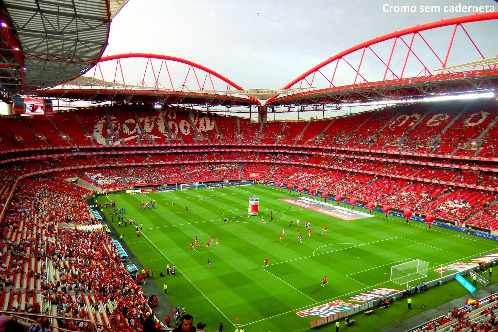 Benfica Glorioso 1904: Wallpapers SL Benfica