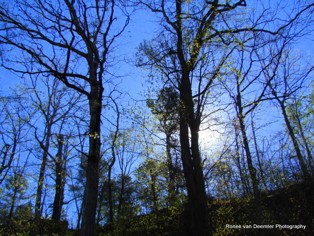 WATCHING THE WORLD: Natural Falls (Dripping Springs), Oklahoma