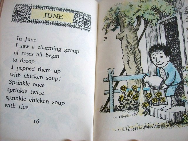 Chicken Soup With Rice June