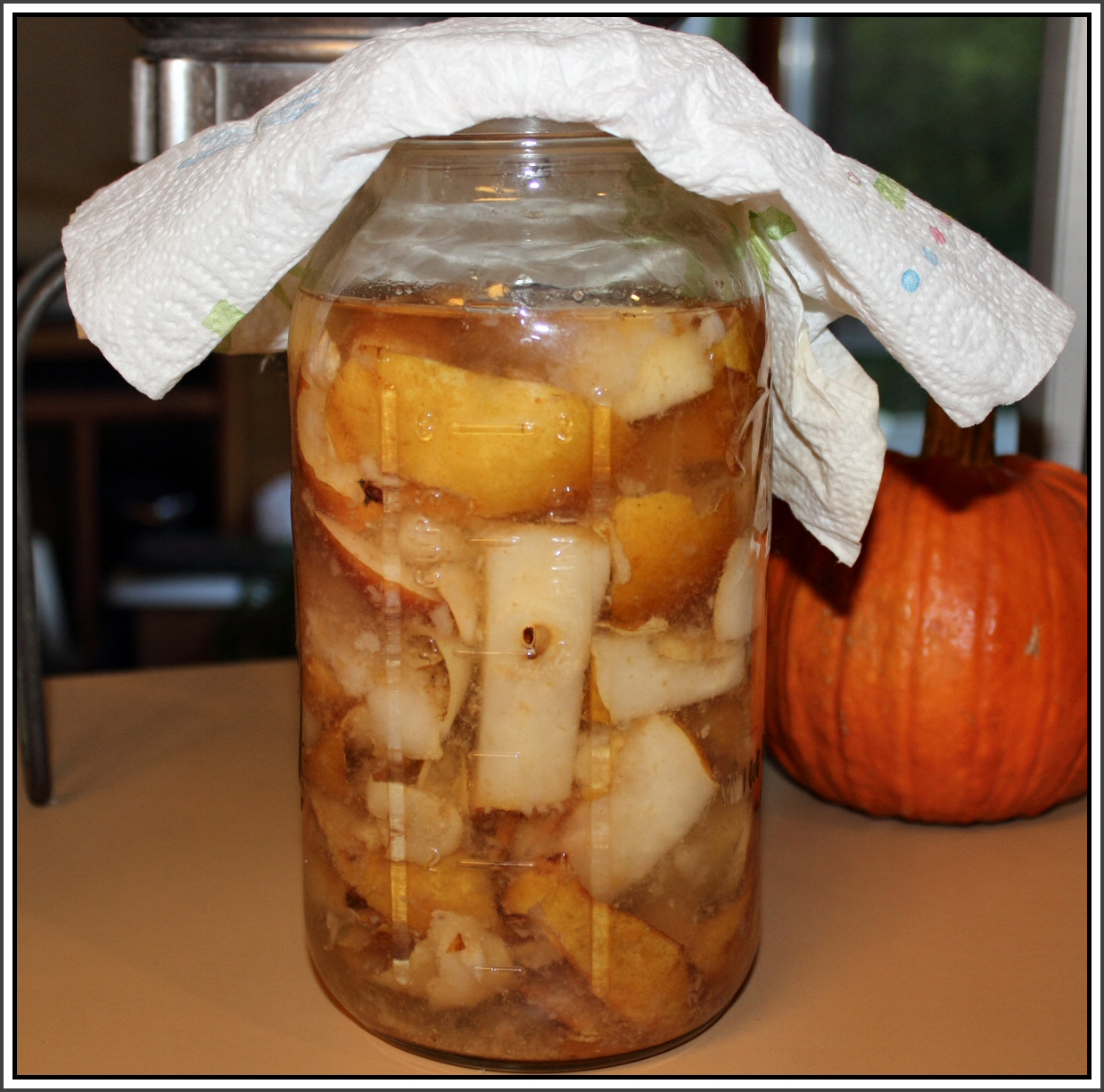 Texas Adventures in New England: The Joys of Homemade Vinegar -- It's ...