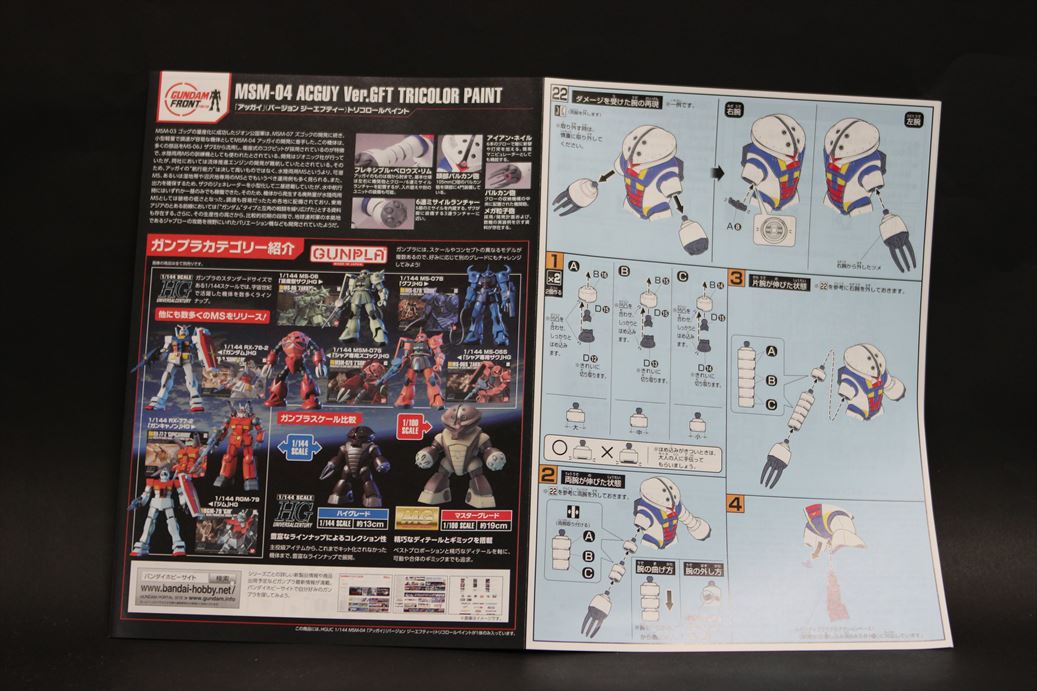 GUNDAM GUY: HGUC 1/144 MSM-04 Acguy Ver.GFT Tricolor Paint - Special ...