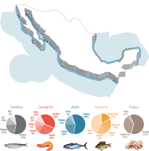 Nyfiken Geográfico: PESCA EN MÉXICO