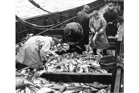 Eight Miles Higher: Poem: 'Decline Of The Hull Fishing Industry'