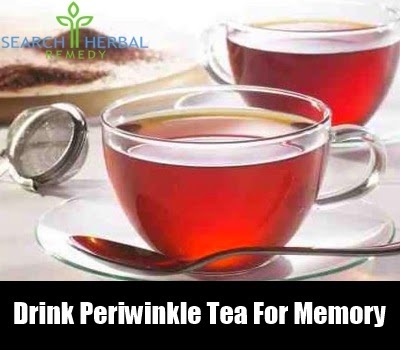 Periwinkle Tea Benefits ~ Healthy Tea 101