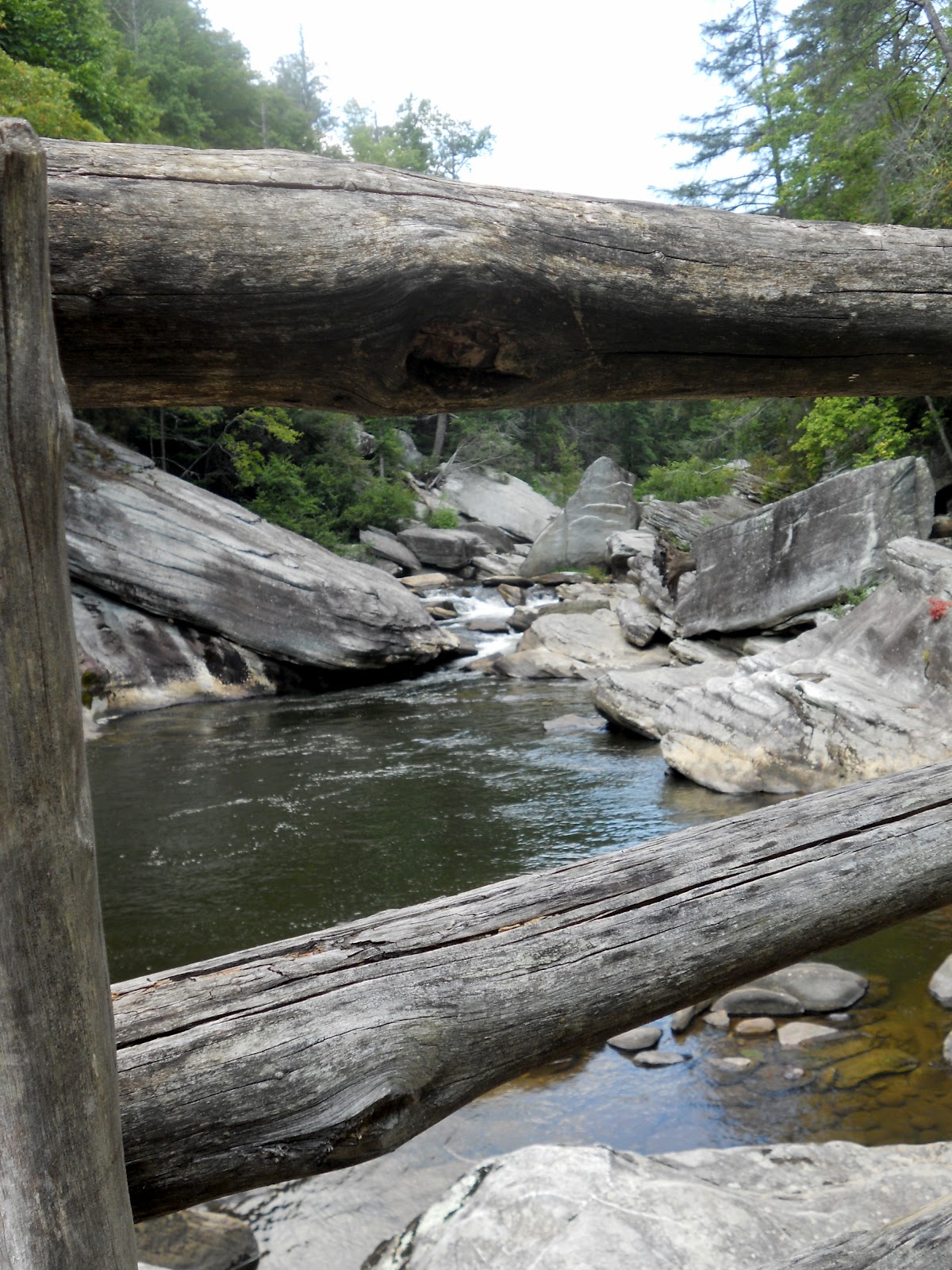 Hiking with a Fat Bald White Guy: Linville Gorge - Spence Ridge ...