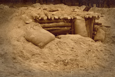 Bitwa pod Berezyną (część pierwsza) | W o l s z t y n