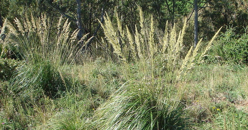 PUNTO D'INCONTRO: LA DISA SI 'NFASCIA CU LA DISA