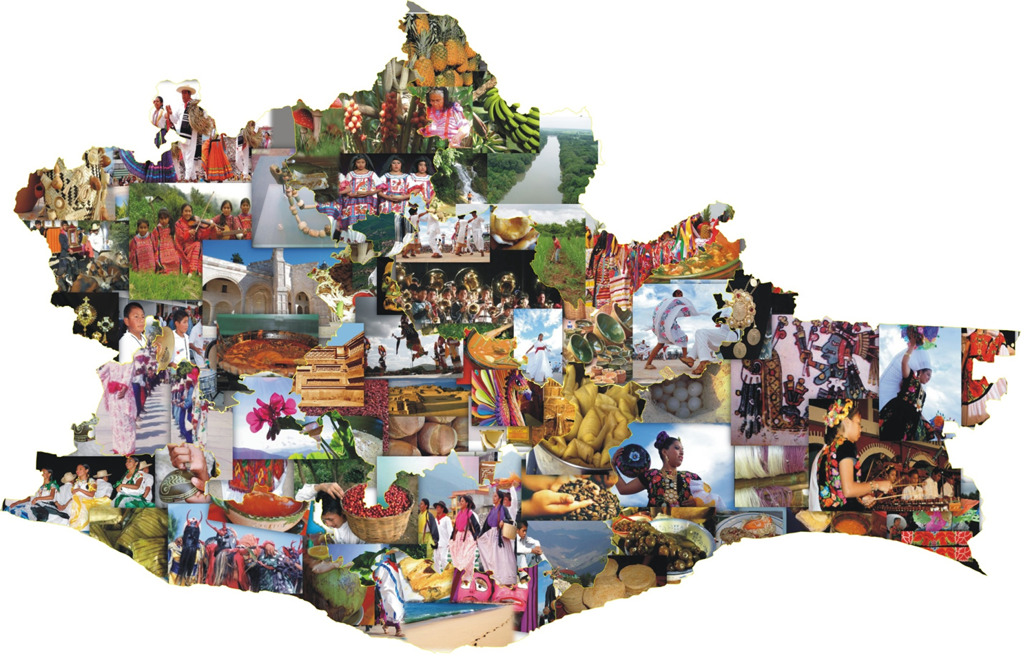 DIVERSIDAD CULTURAL DE CHIAPAS,SINALOA Y OAXACA