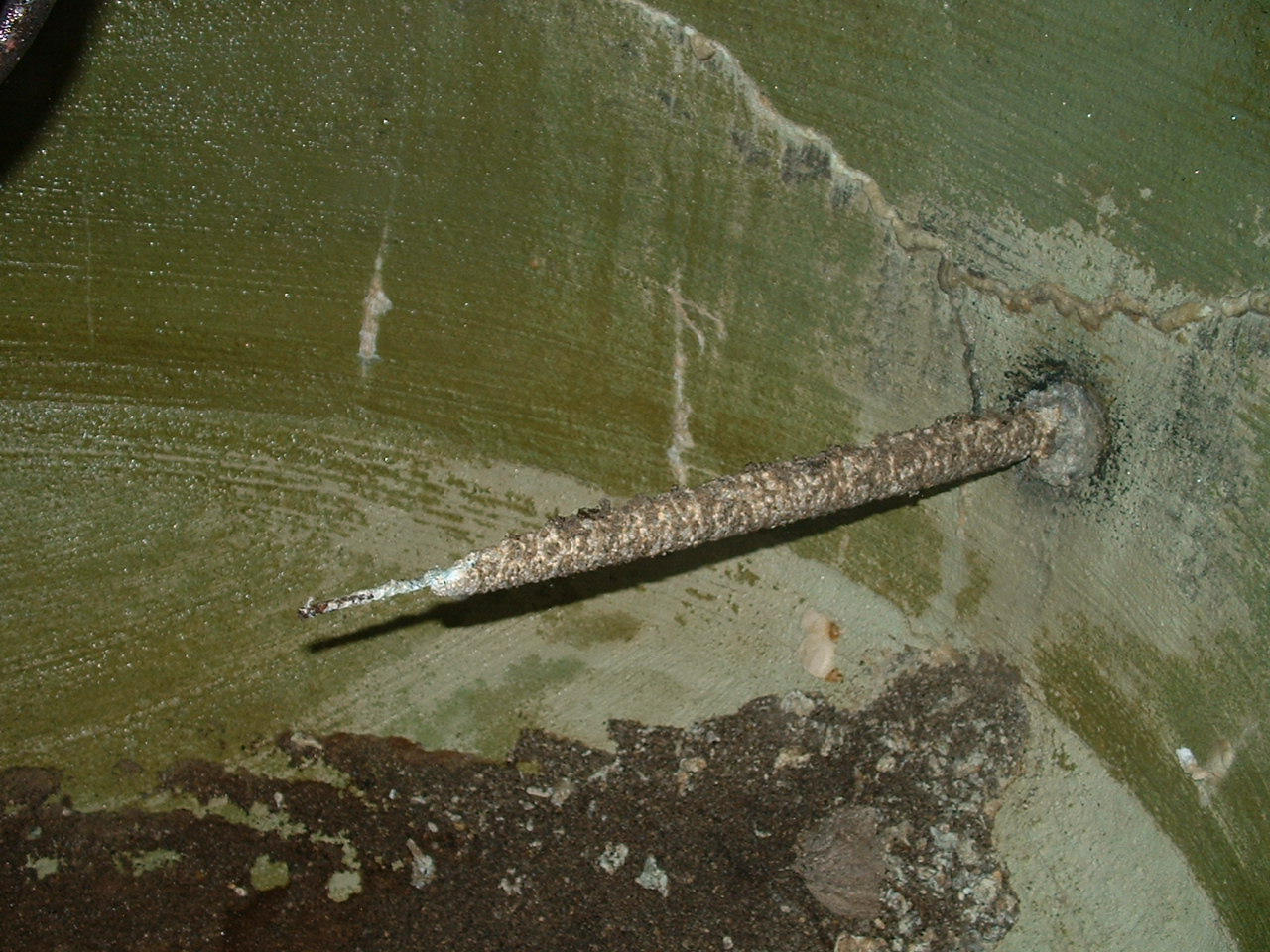 Hot Water Storage Tank: Do Your Anodes Look Like This?