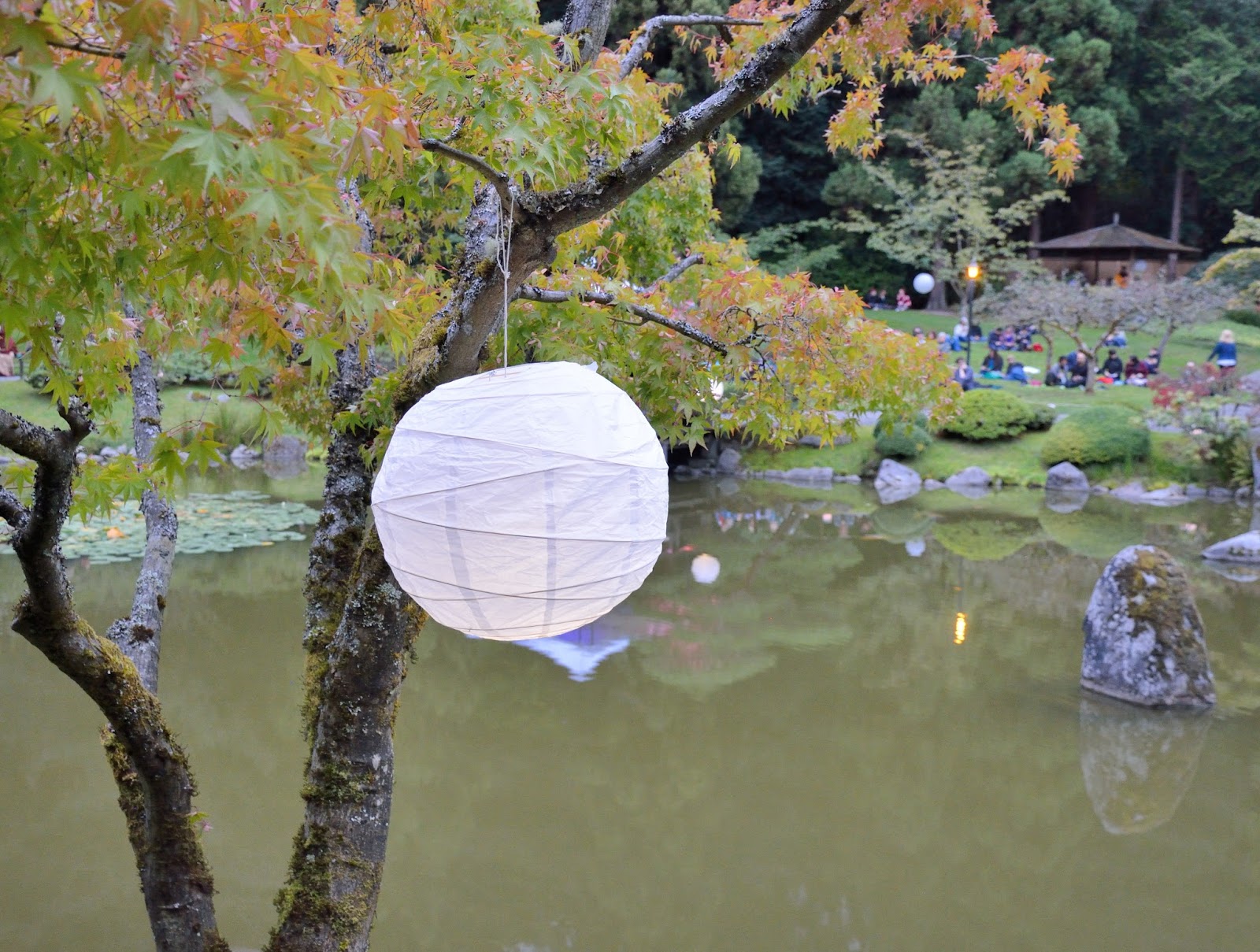 Seattle Japanese Garden Community Blog: お月見 (Otsukimi) 2016 & Moon ...
