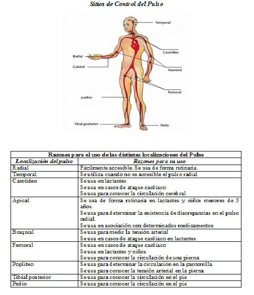 CLASES FUNDAMENTOS DE ENFERMERIA: Control de Pulso